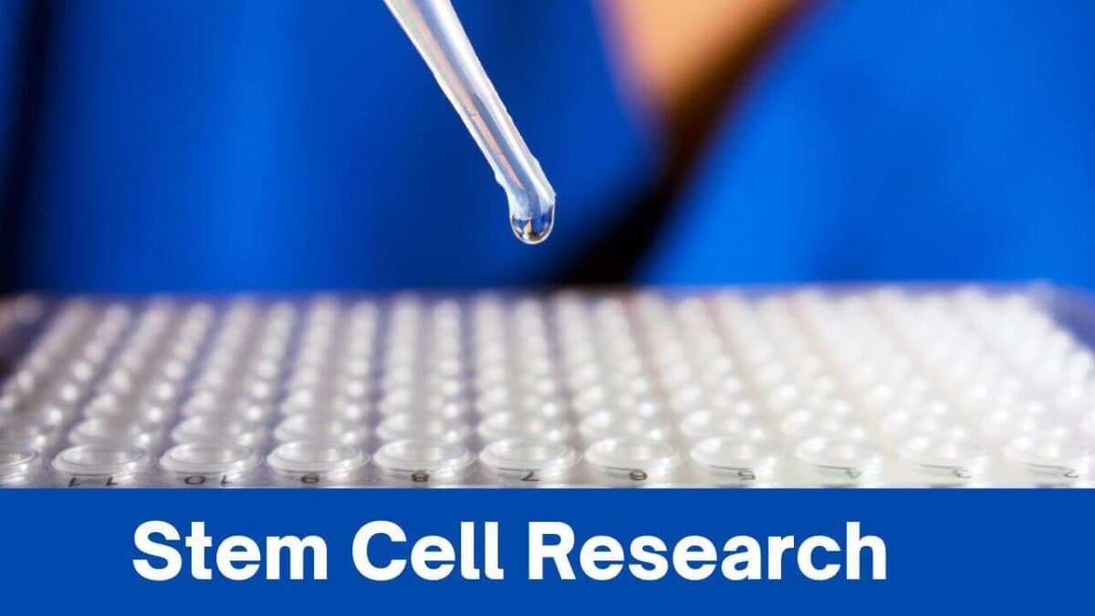 Stem Cell Research: Pioneering Medical Breakthroughs For A Better Future » 2025